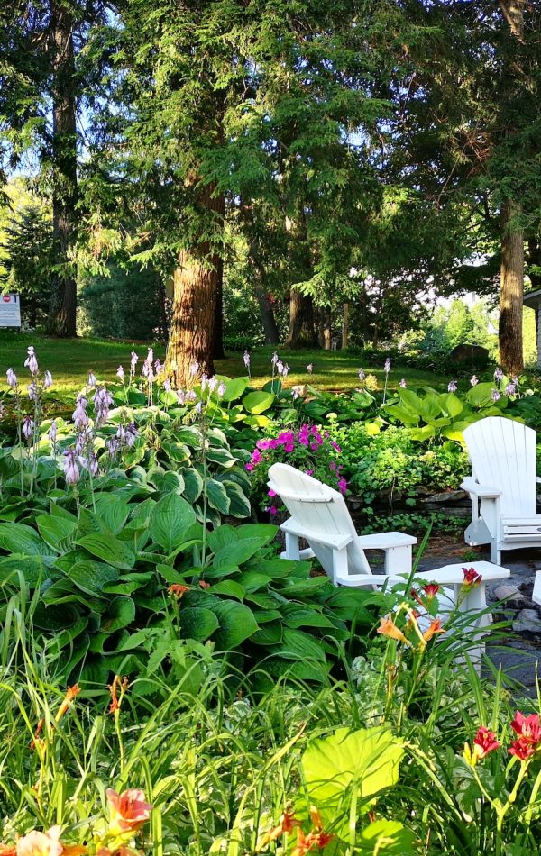 Gardening Services Inner West